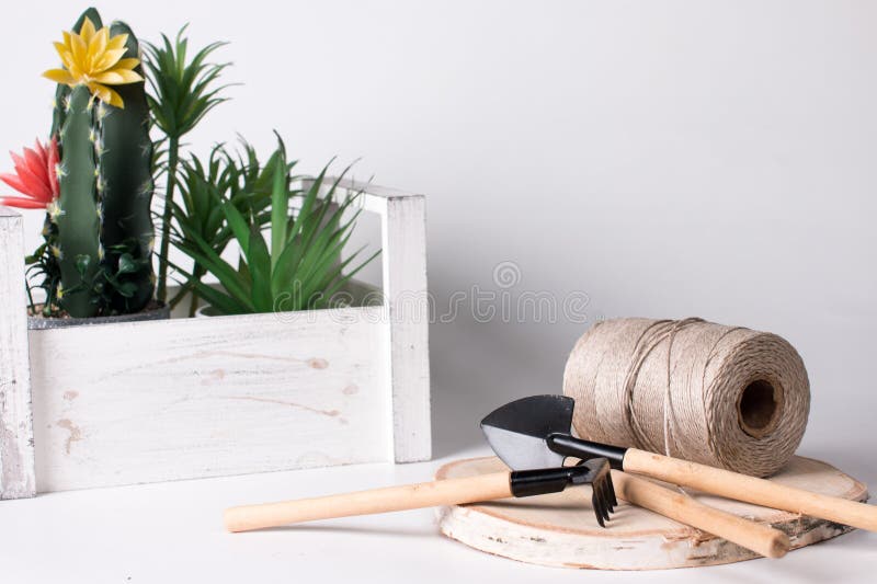Planting Flowers in Spring and Gardening Tools. Stock Photo - Image of ...