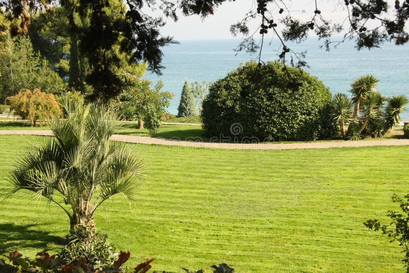 Planting of greenery stock image. Image of green, lawn - 27231217