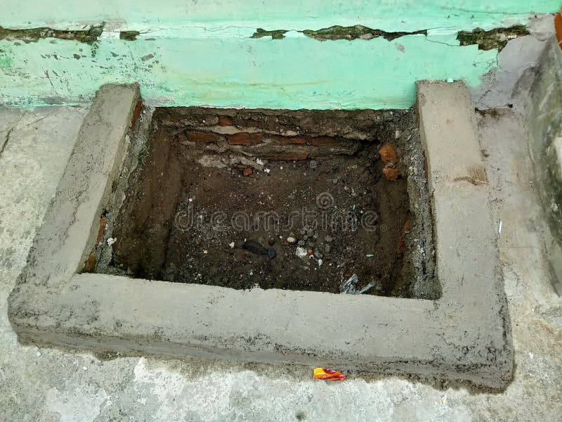 Planting Hole for Planting Grapefruit Trees with a Certain Width ...