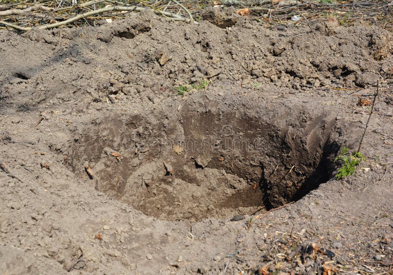Planting Hole. Tree Planting-hole Preparation and Soil Improvement ...