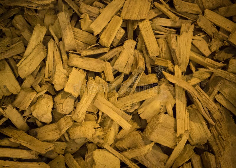 Planting Material for Use in Farming. Stock Image - Image of scale ...