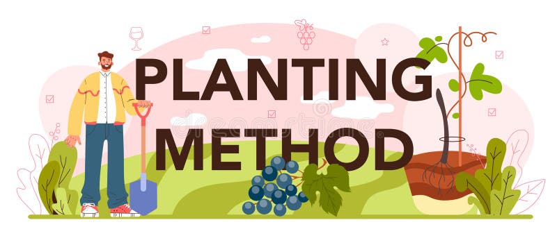 Planting Method Typographic Header. Wine Production Stock Vector ...