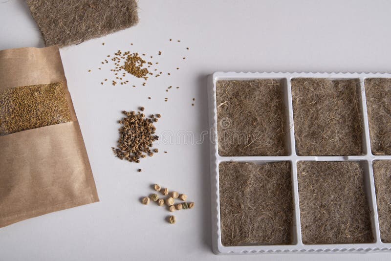 Planting Micro-green Seeds on the Mat. Eco-friendly Growing of Greenery ...