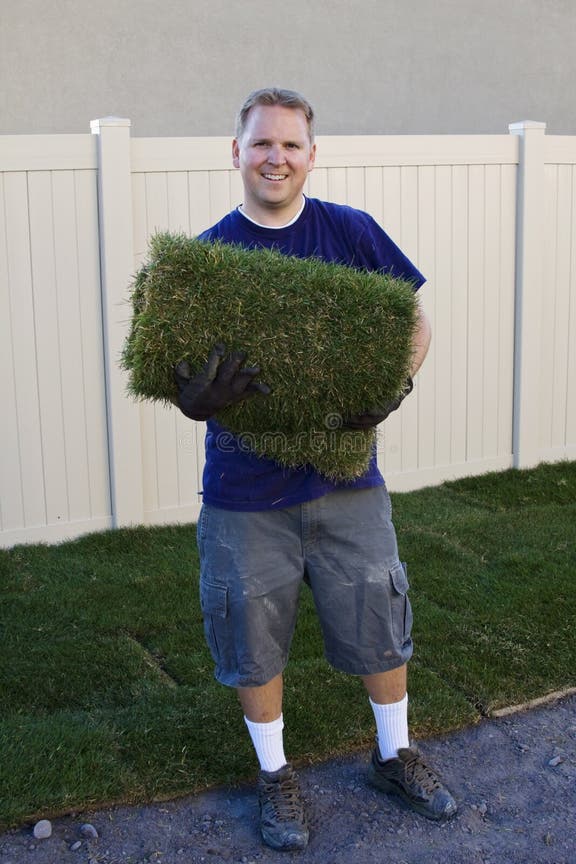 Planting New Sod Grass (Yard Work) Stock Image - Image of landscaping ...