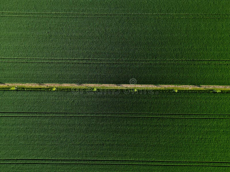 Planting a New Windbreak in the Field, a Biocorridor, an Avenue of Ash ... Planting a New Windbreak in the Field, a Biocorridor, an Avenue of Ash ...