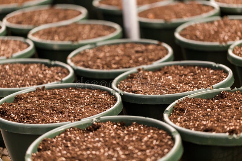 Planting pots stock photo. Image of nature, empty, planting - 49843886