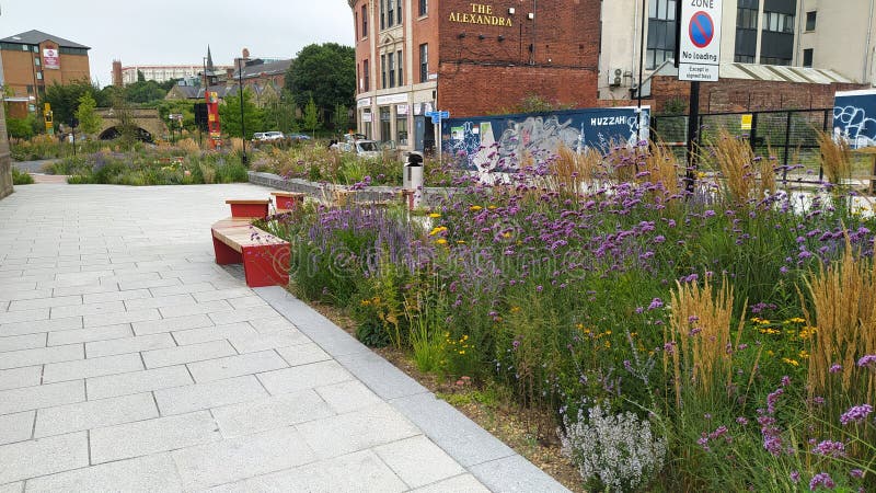 Planting and Public Realm in Sheffield City Centre Editorial ... Planting and Public Realm in Sheffield City Centre Editorial ...