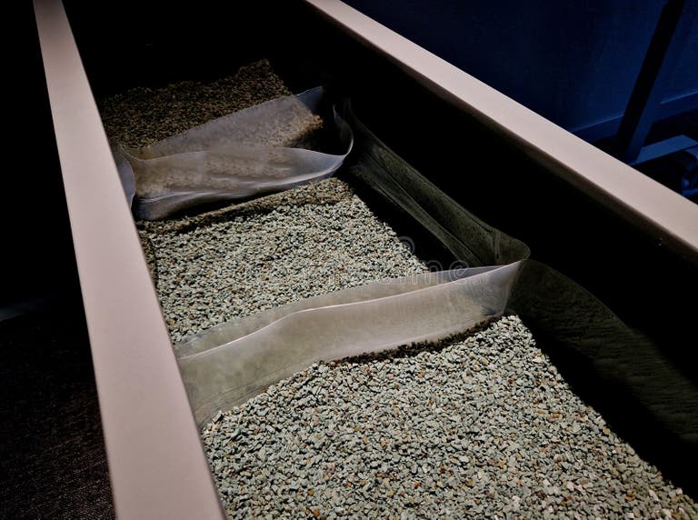 Planting in Rectangular Pots Begins with the Placement of Growing Stock ...