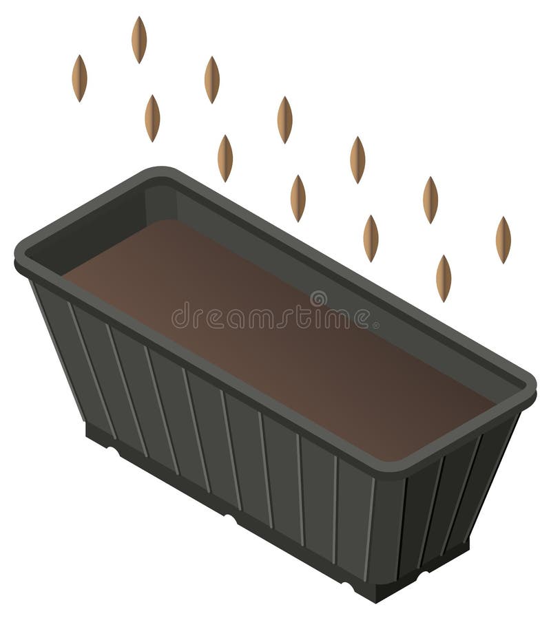 Planting Seed in Box with Ground for Seedlings. Isometric Icon Stock ...