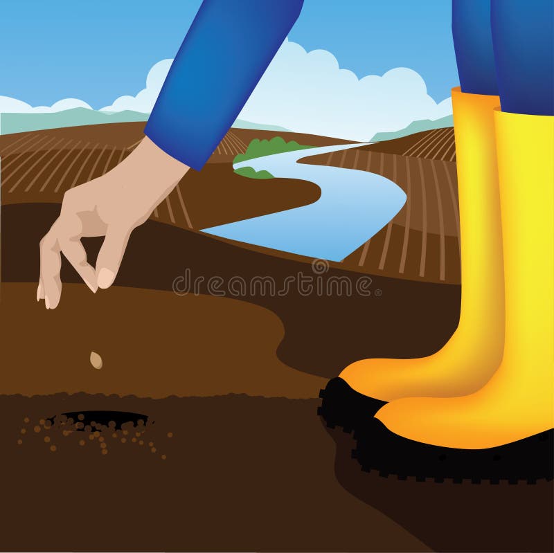 Planting a Seed in a Vegetable Garden Stock Vector - Illustration of ...