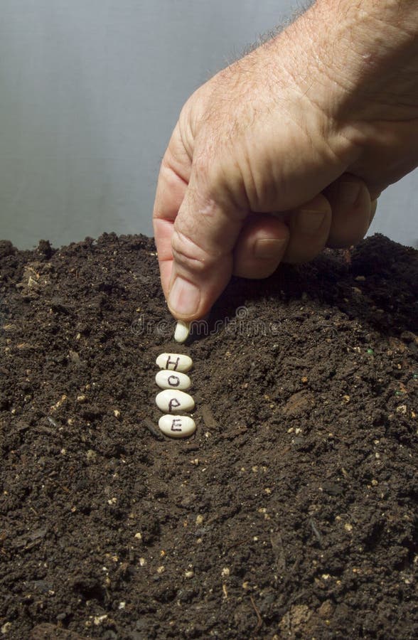 Planting the Seeds of Hope stock photo. Image of field - 54183288