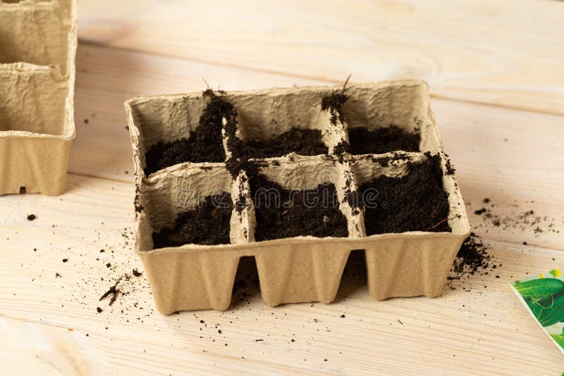 Planting Seeds in Spring. Peat Pots for Planting Seeds and Seedlings ...