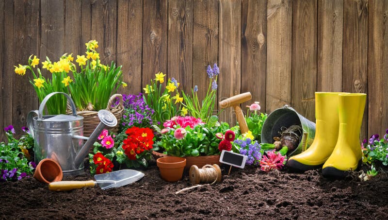 Planting Spring Flowers stock photo. Image of growing - 29759468