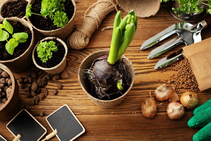 Planting tools stock photo. Image of composition, pruning - 92226834