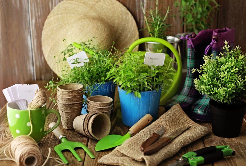 Gardening tools and plants stock photo. Image of planting - 64417520