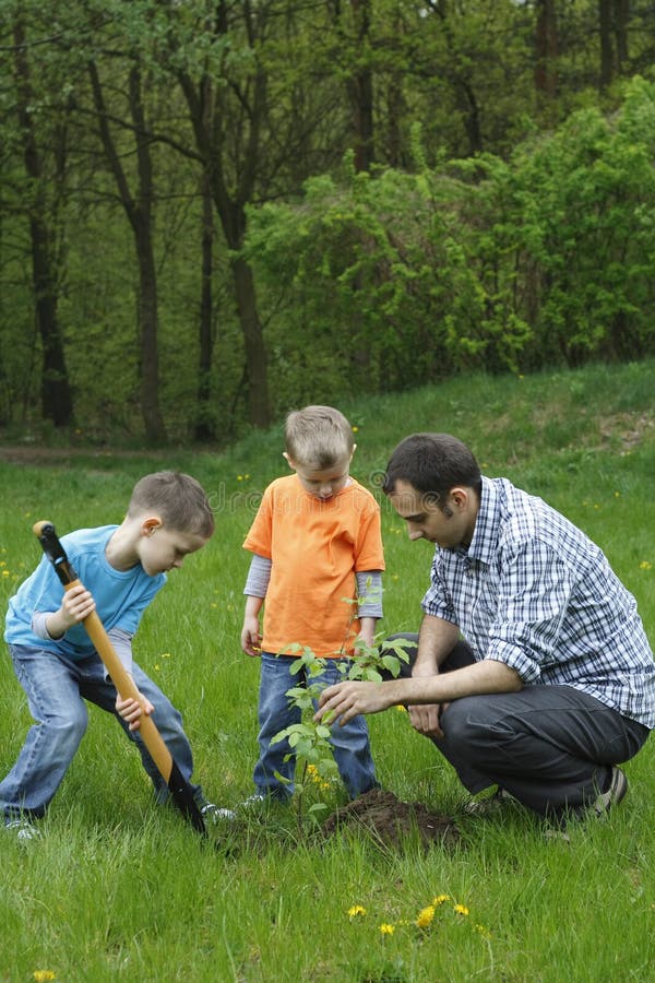 Planting a tree stock photo. Image of agriculture, help - 5090476
