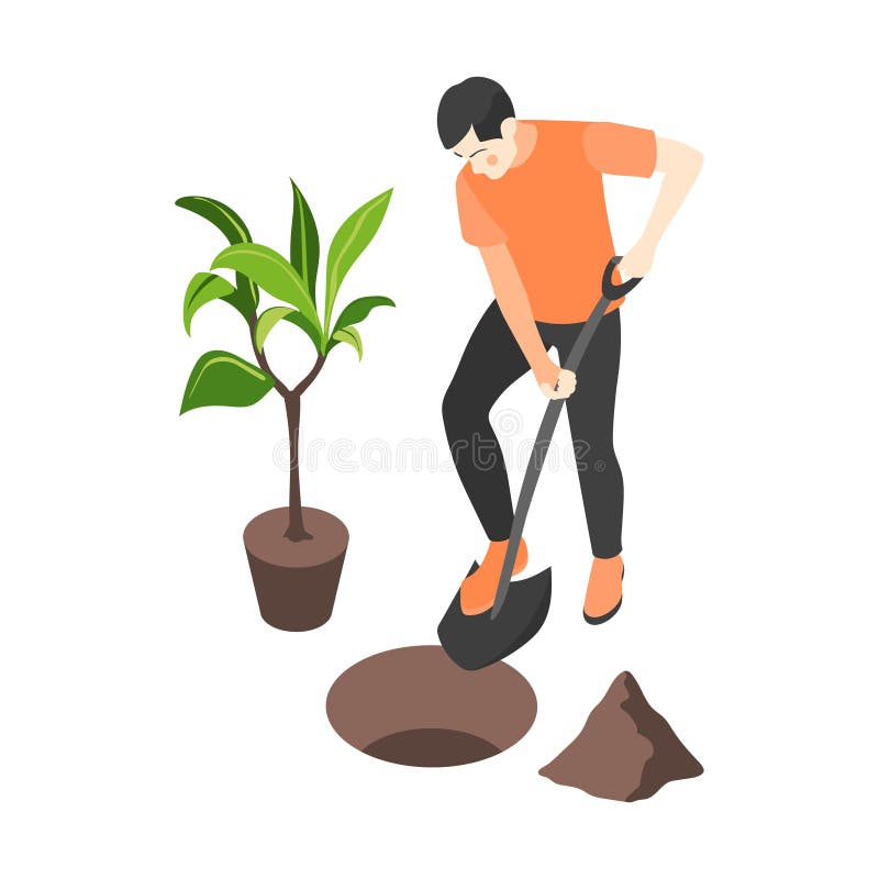 Planting Tree Illustration stock vector. Illustration of decorative ...