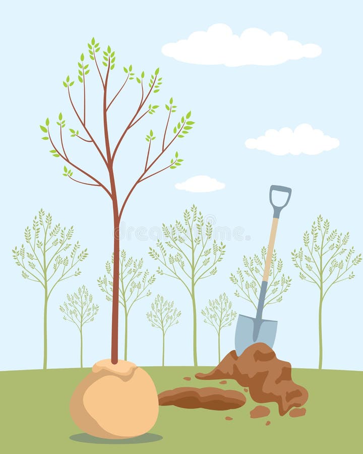 Planting Tree Stock Illustrations – 11,382 Planting Tree Stock ...