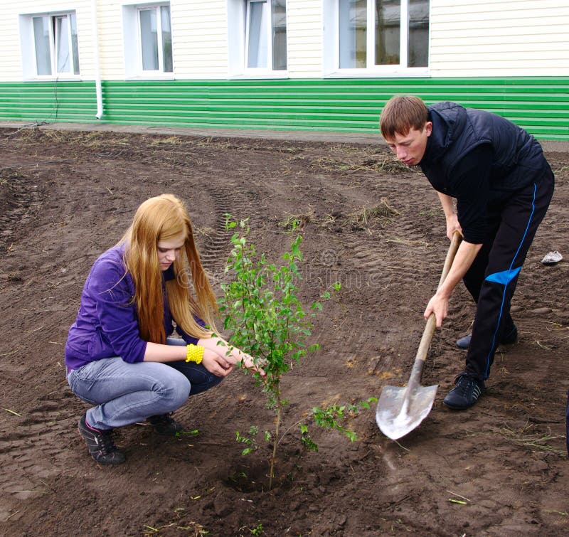 Planting of trees stock photo. Image of planting, girl - 21000622