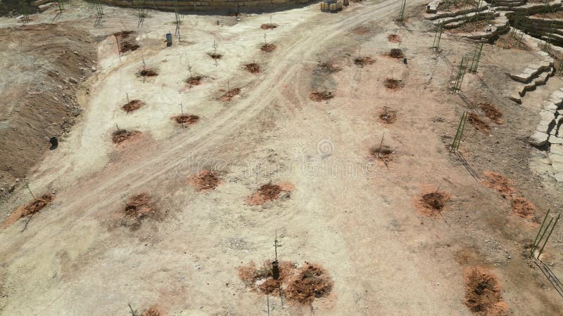 Planting Trees in a Deserted Area Top View Stock Video - Video of green ...