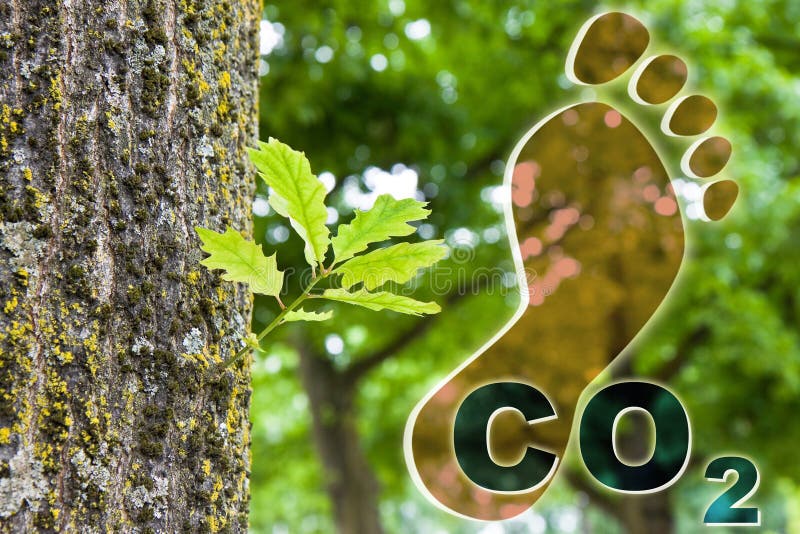 Planting Trees for Reduction of the Amount of CO2 Emissions - Concept ...