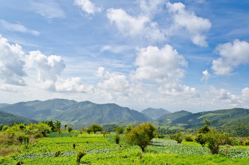 Planting Vegetation Plateau Stock Photos - Free & Royalty-Free Stock ...
