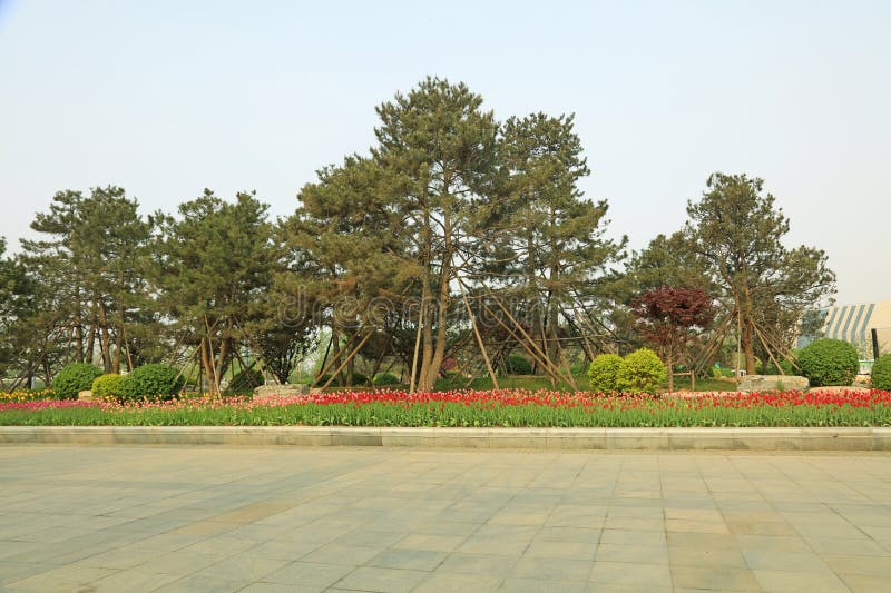 Plants around the square stock photo. Image of parks - 364851686