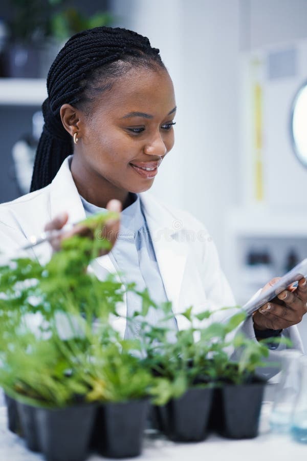 Research, Black Woman or Scientist with Plants in Test Tubes for ...