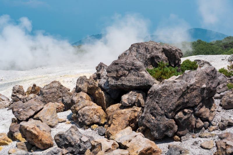Plants among Blocks of Solidified Lava in a Fumarole Field on the Slope ...
