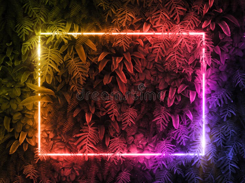 Plants with Circular Bright Light Frame Stock Image - Image of flat ...