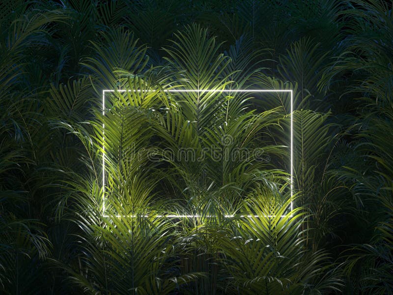 Plants with Circular Bright Light Frame Stock Image - Image of flat ...