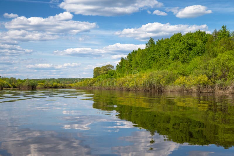 Plants and Bushes Growing Along the Banks of River Stock Photo - Image ...
