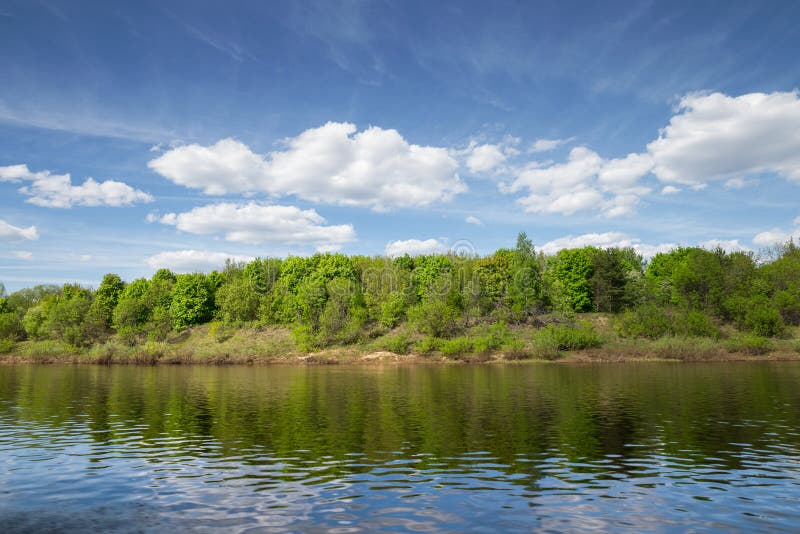 Plants and Bushes Growing Along the Banks of River Stock Photo - Image ...