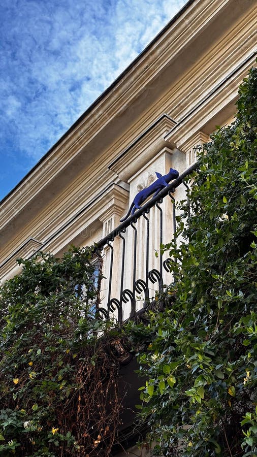 Plants Climbing on a Balcony Stock Photo - Image of travel, town: 258429430