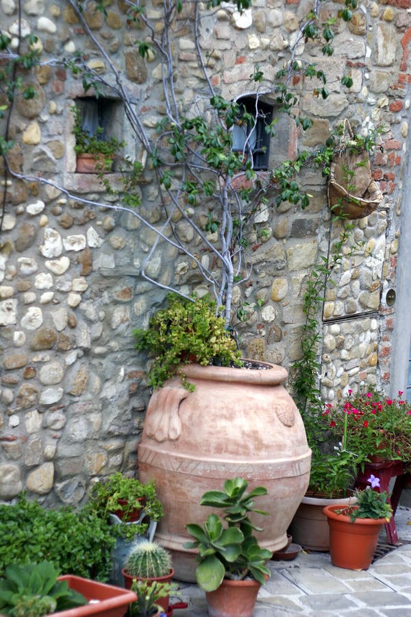 Plants in decorative pots stock photo. Image of home - 13534968