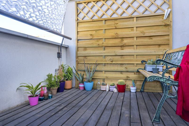 Plants are Essential Elements for Infusing Life, Color, and Freshness ...