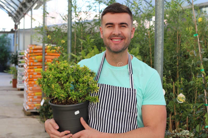 Plants Expert Smiling at Work Stock Image - Image of greenhouse, hold ...