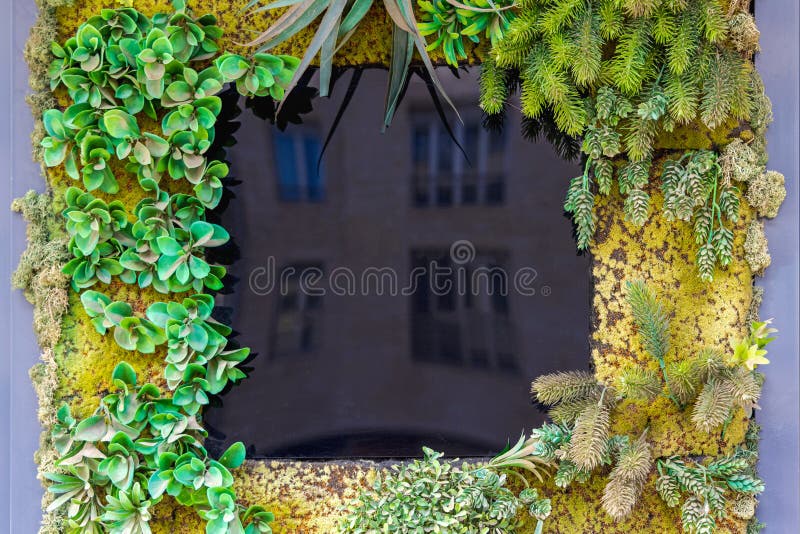 Plants Frame Copy Space stock image. Image of leaves - 275641887