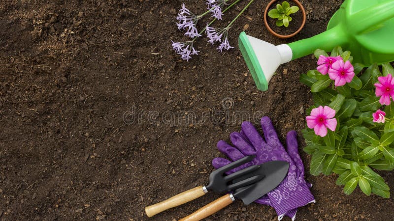 Gardening Tools Soil with Peat Potted Plants. High Quality Photo Stock Image - Image of growth ...