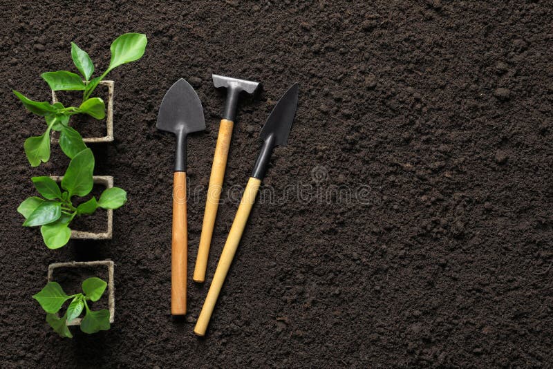 Plants and Gardening Tools on Soil Stock Photo - Image of copy ...