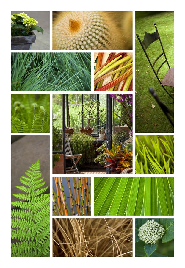 Plants collage stock photo. Image of house, collage, details - 22804816