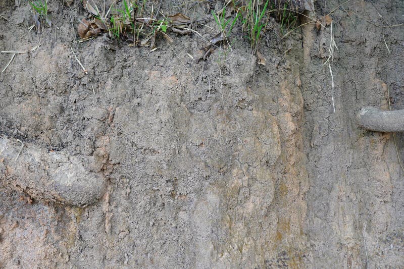 Soil Cross-section with Grass and Rock Layers from Side View Stock ...