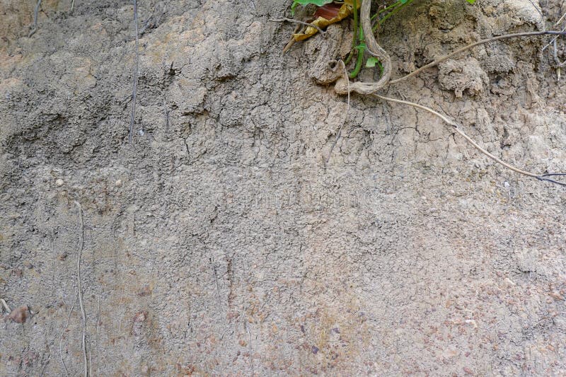 Soil Cross-section with Grass and Rock Layers from Side View Stock ...