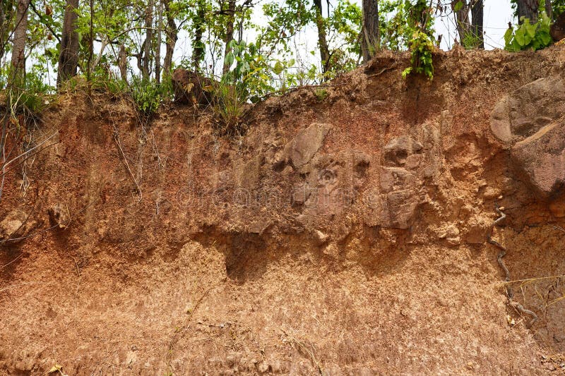 Soil Cross-section with Grass and Rock Layers from Side View Stock ...