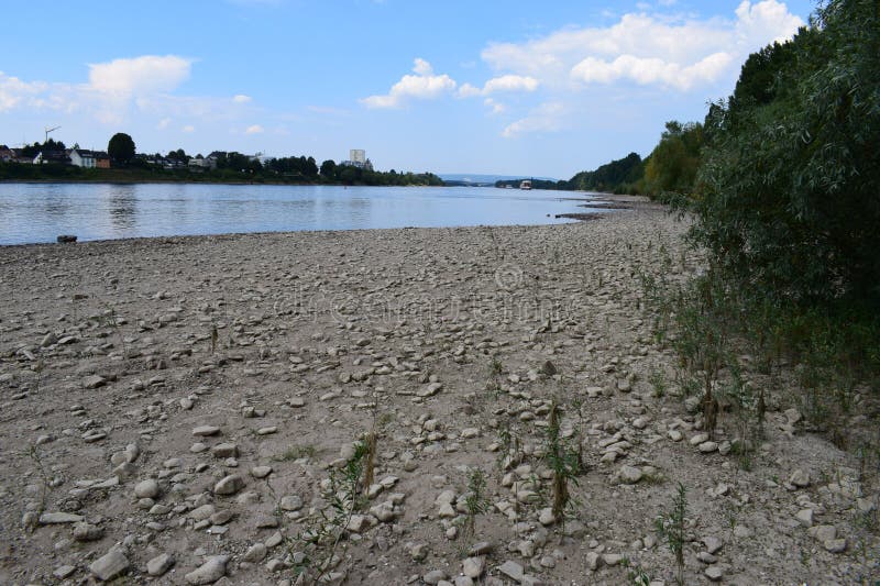 Plants Growing Dry Riverbed Sides Stock Photos - Free & Royalty-Free ...