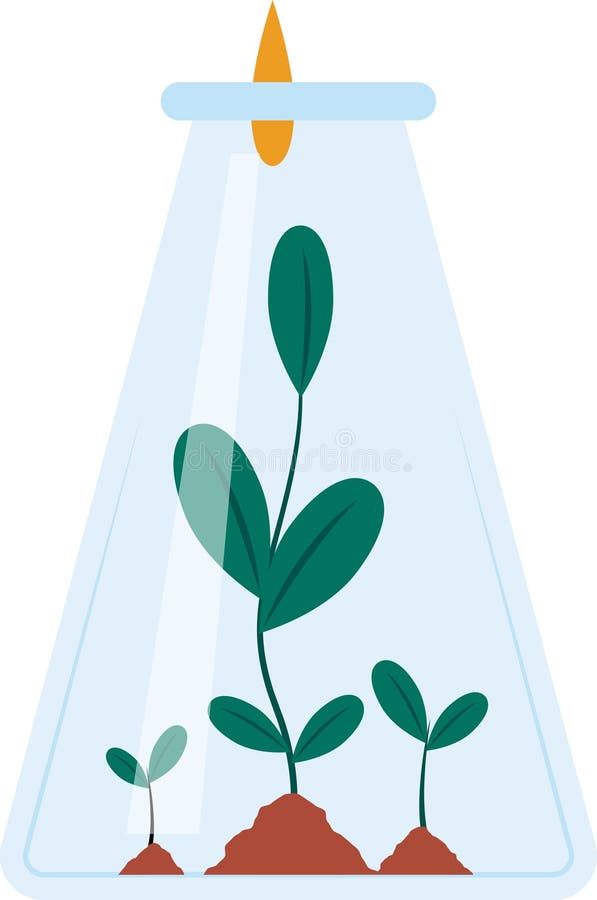 Plants Growing Inside a Laboratory Flask during an Experiment with ...