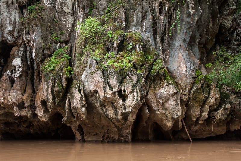 Plants Growing Off the Rocky Cliff Stock Photo - Image of plant, jungle ...