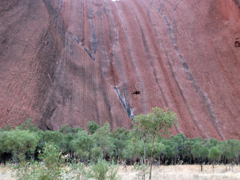 Uluru cliffs stock photo. Image of green, trees, groved - 256207784