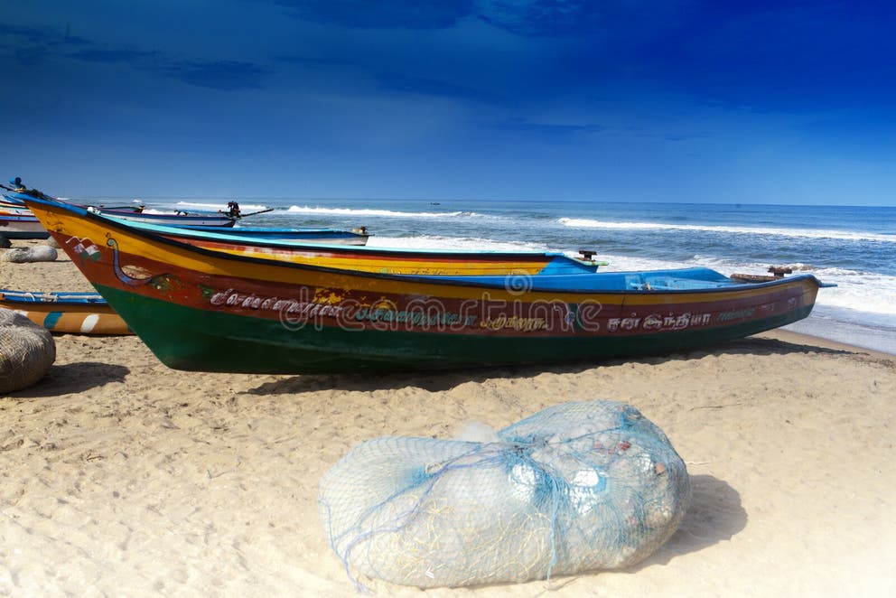 Plants in a Landscape with a Pathway in the Centre and Mountains in the ...