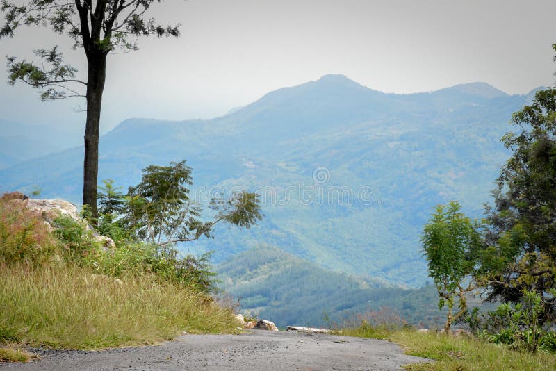 Plants in a Landscape with a Pathway in the Centre and Mountains in the ...